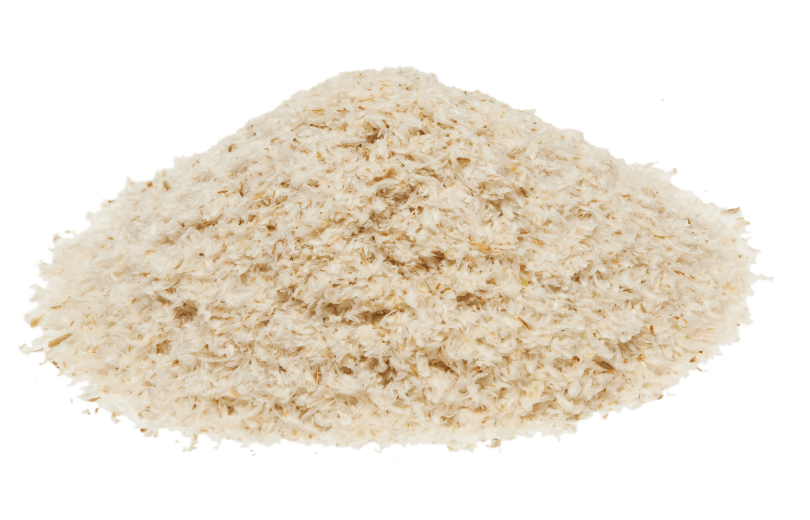 Psyllogel Fast con psyllium per la frequenza di evacuazione